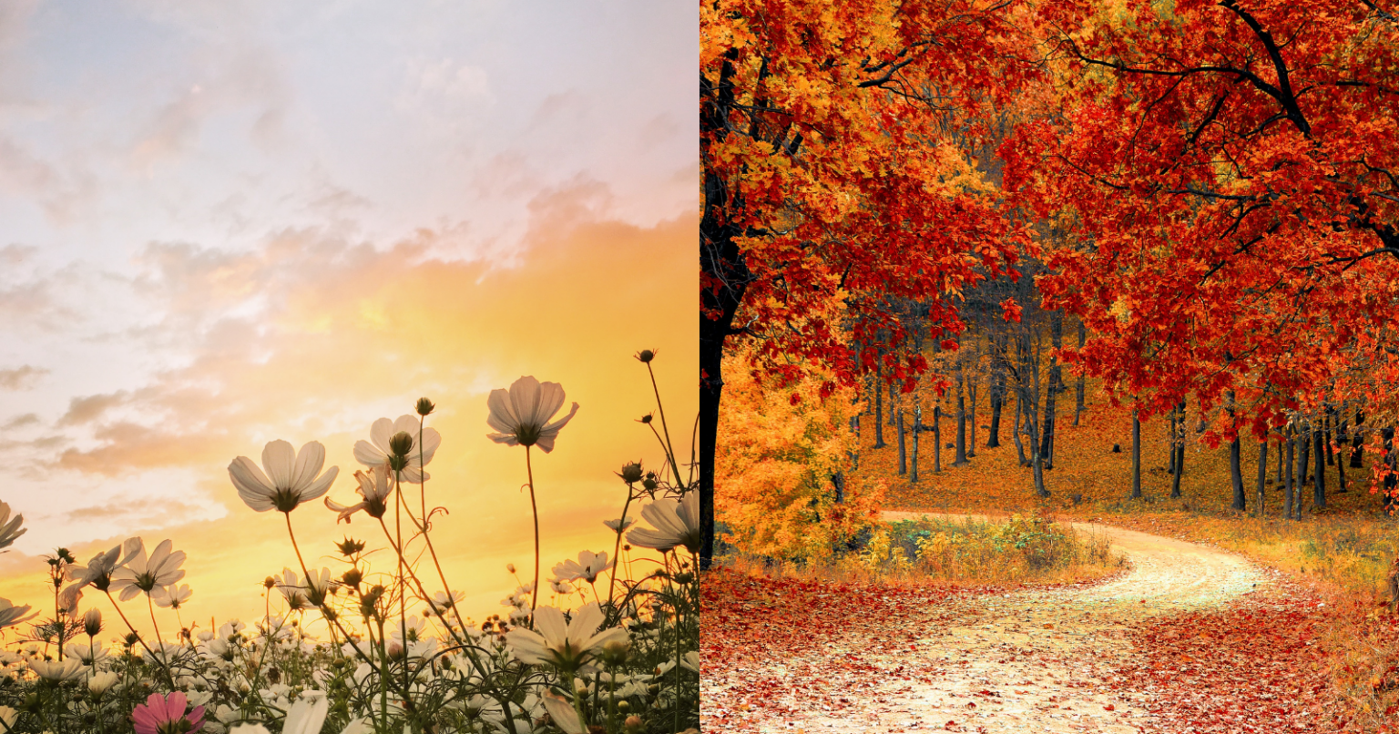 Spring or Fall? 5 key differences in how the equinox affects you